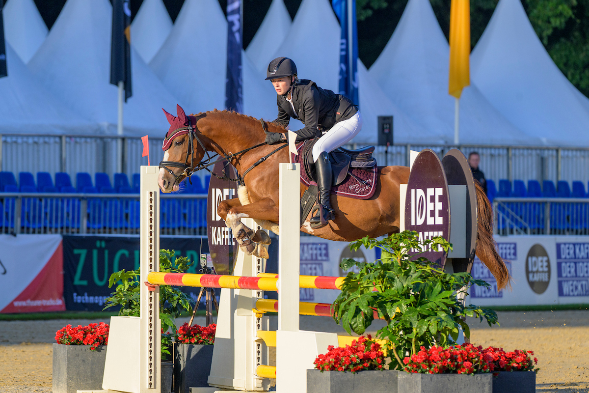 PAV Nilz wird Vize-Bundeschampion der 5jährigen Springponys - zfdp